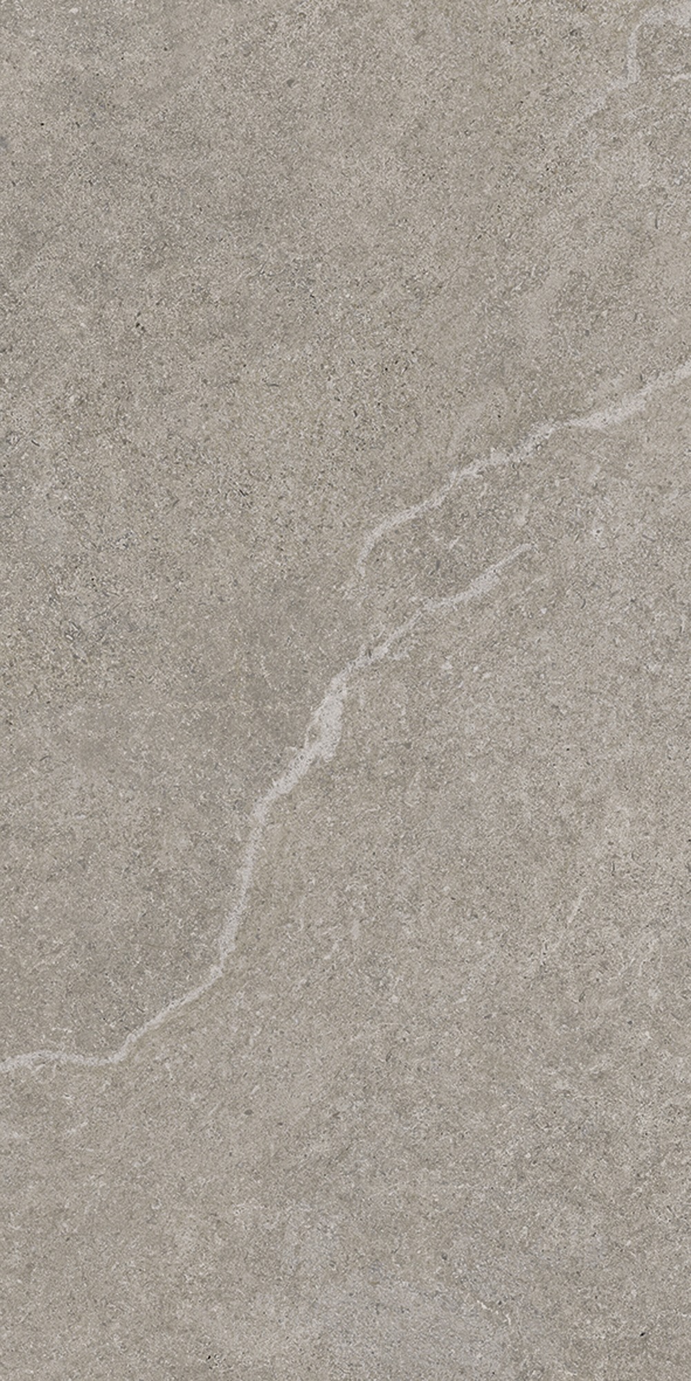 Stamp- Wilcox Fifty Five – Louisville Tile